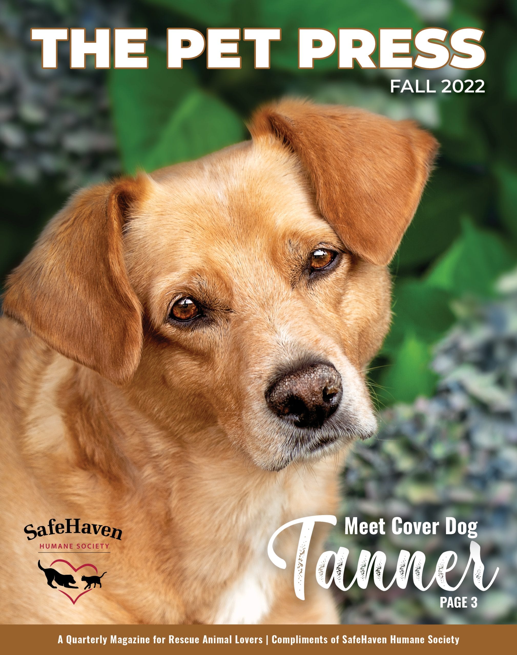 Pet Press Magazine - SafeHaven Humane Society