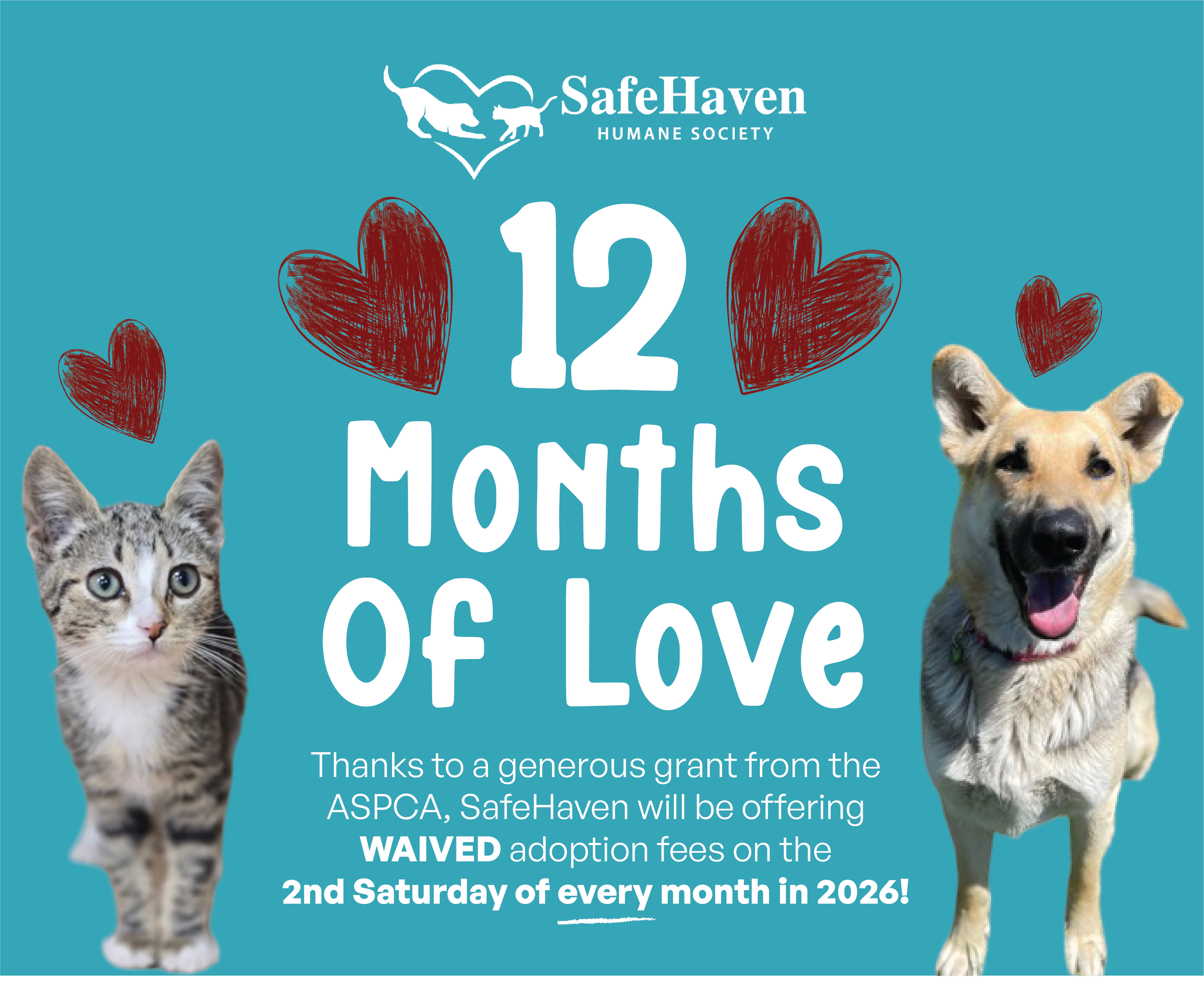 Waived Adoption Day - SafeHaven Humane Society
