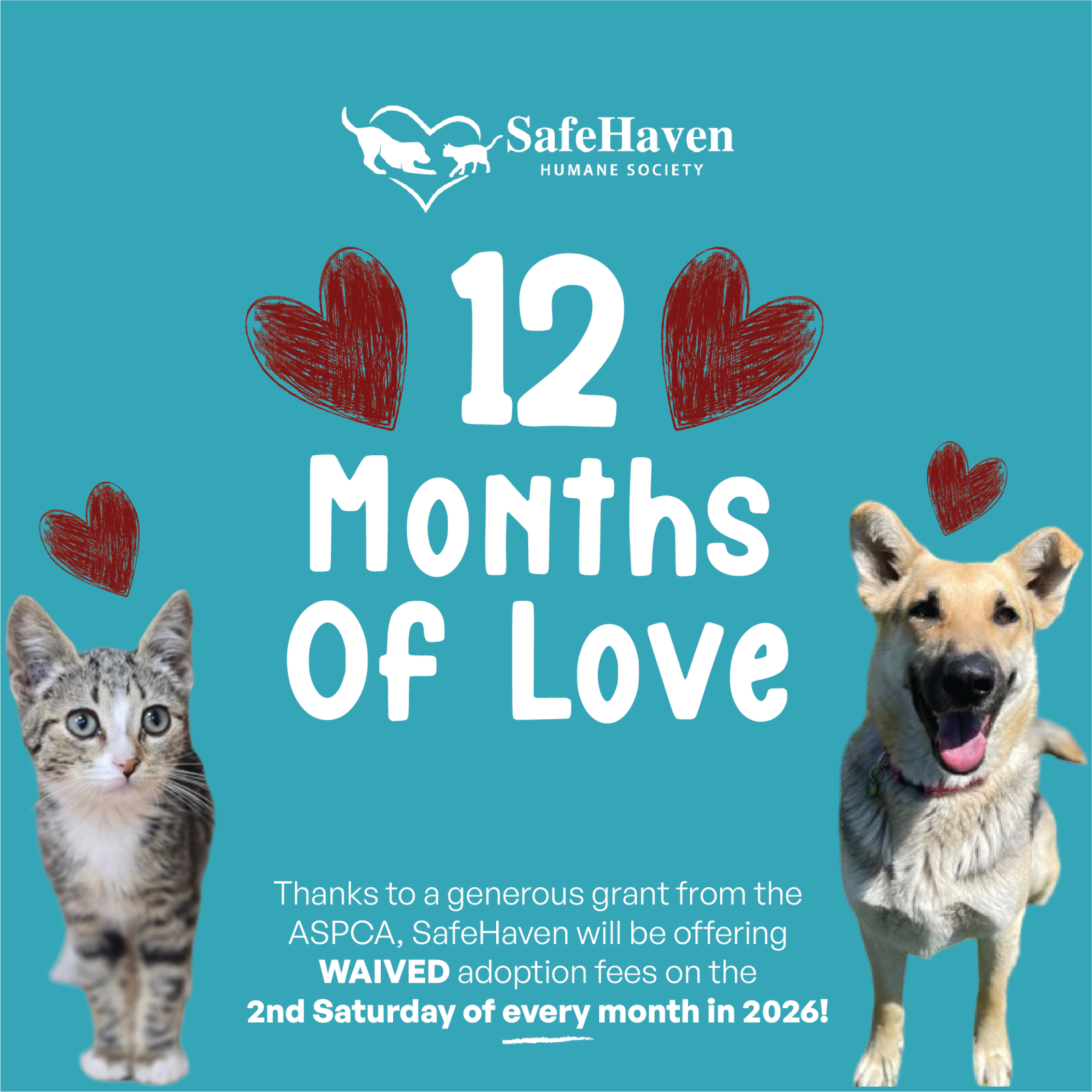 SafeHaven Humane Society